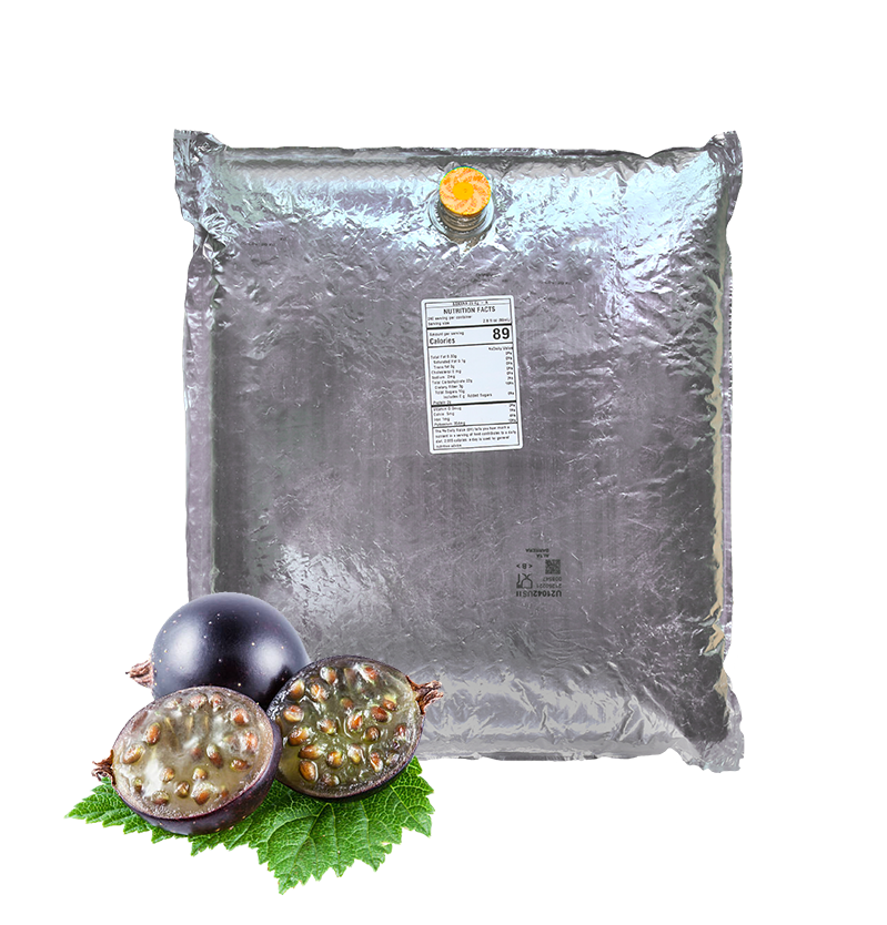 20 Kg Black Currant Aseptic Fruit Purée Bag – Aseptic Fruit Purees | Canada